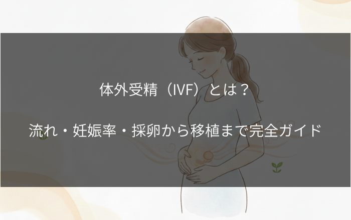体外受精（IVF）とは？流れ・妊娠率・採卵から移植・判定まで完全ガイド